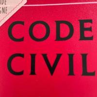 VENTE IMMOBILIERE : résolution amiable pour défaut de conformité aux ...
